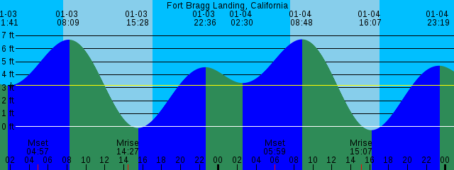 Reel Steel Sportfishing