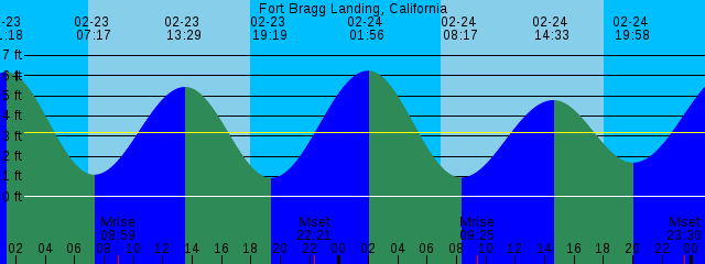 Reel Steel Sportfishing
