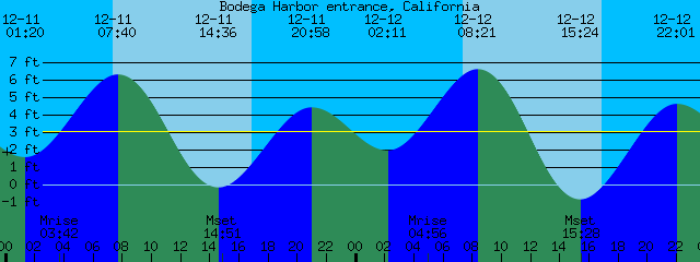 Nor Cal Fish Reports