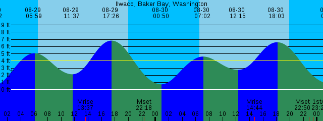 Washington Fish Reports